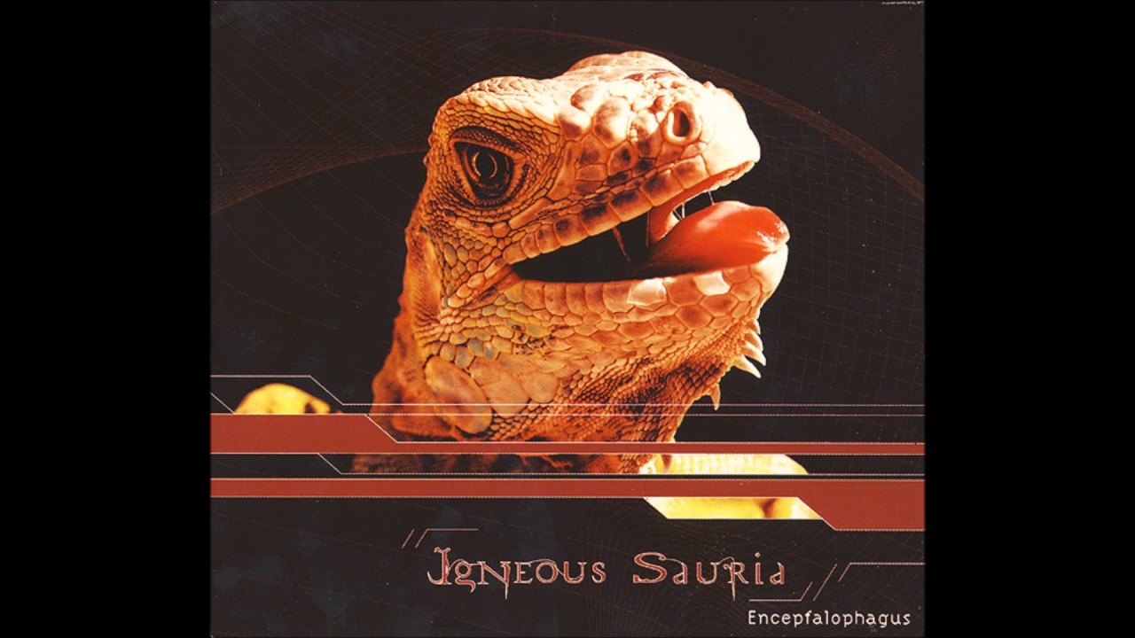 Igneous Sauria - Encepfalophagus - YouTube