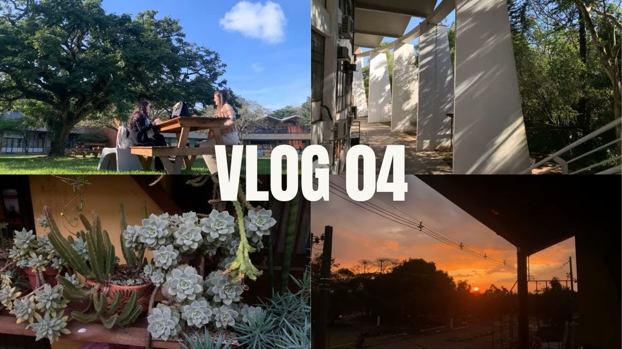 Vlog 04 | vida acontecendo - YouTube