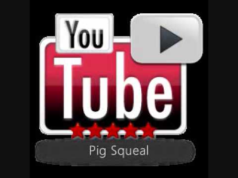 Funny Sound Effects Pig Squealing - YouTube