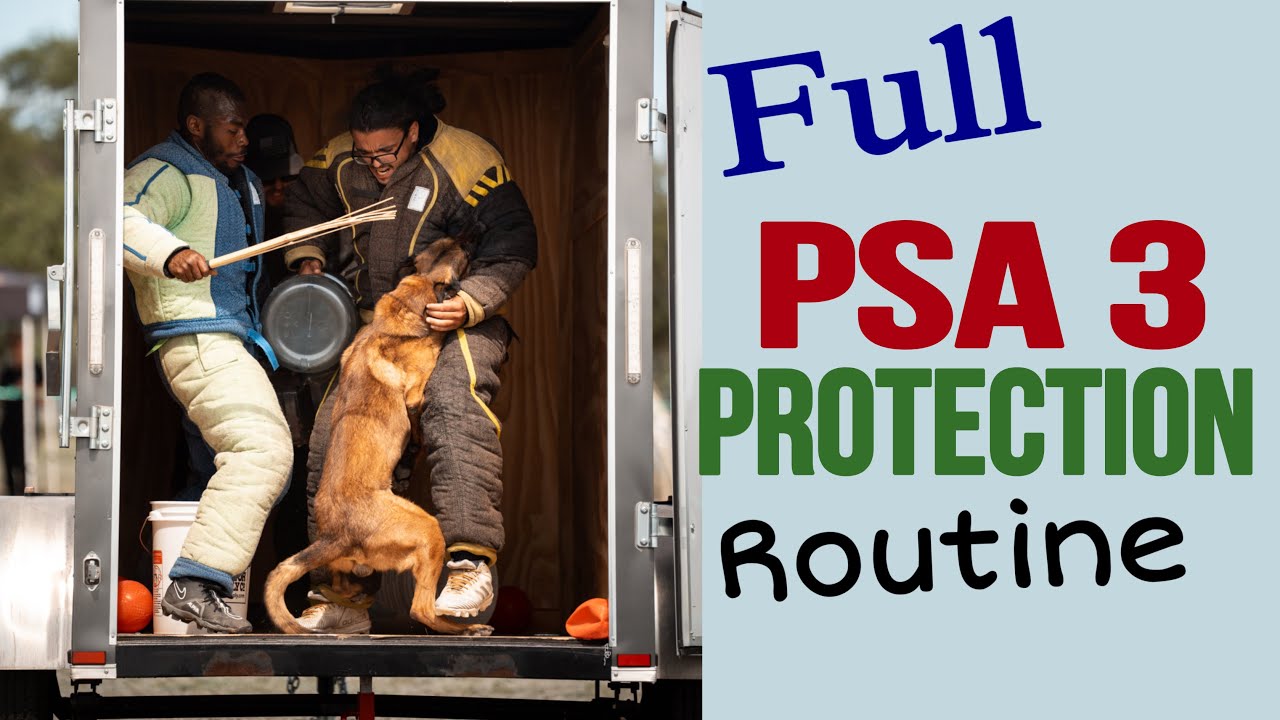Full PSA 3 Protection Routine - YouTube