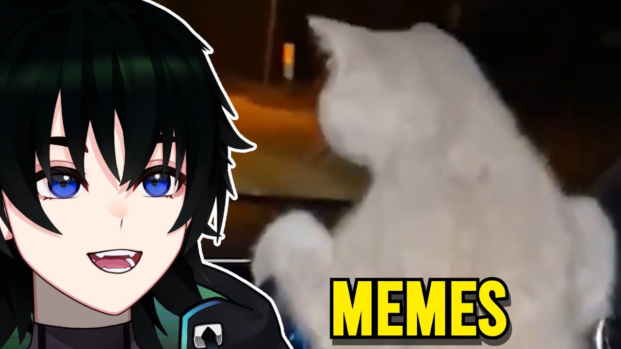 Vtuber Reacts to The Funniest Unusual Memes Ever! - YouTube