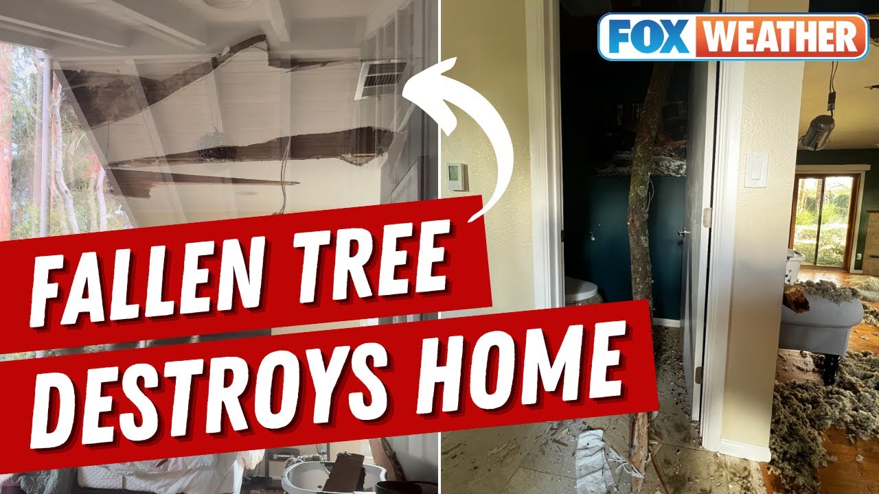 California Woman Recalls Scary Moment Tree Crushed House: 'I Was ...