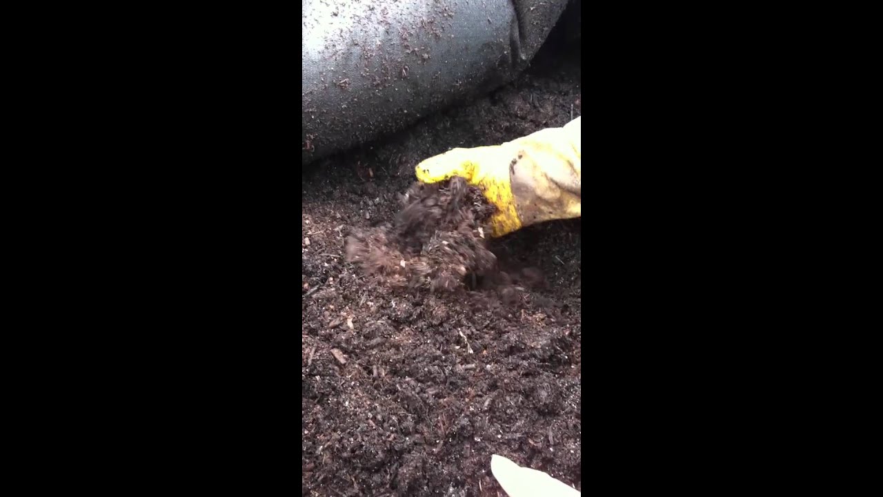 A handful of magic - rich organic compost made from food waste ...