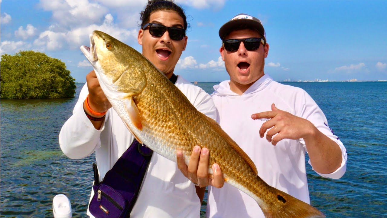 Springtime Fishing in Tampa Bay *PAPI CAUGHT HIS FIRST REDFISH* - YouTube