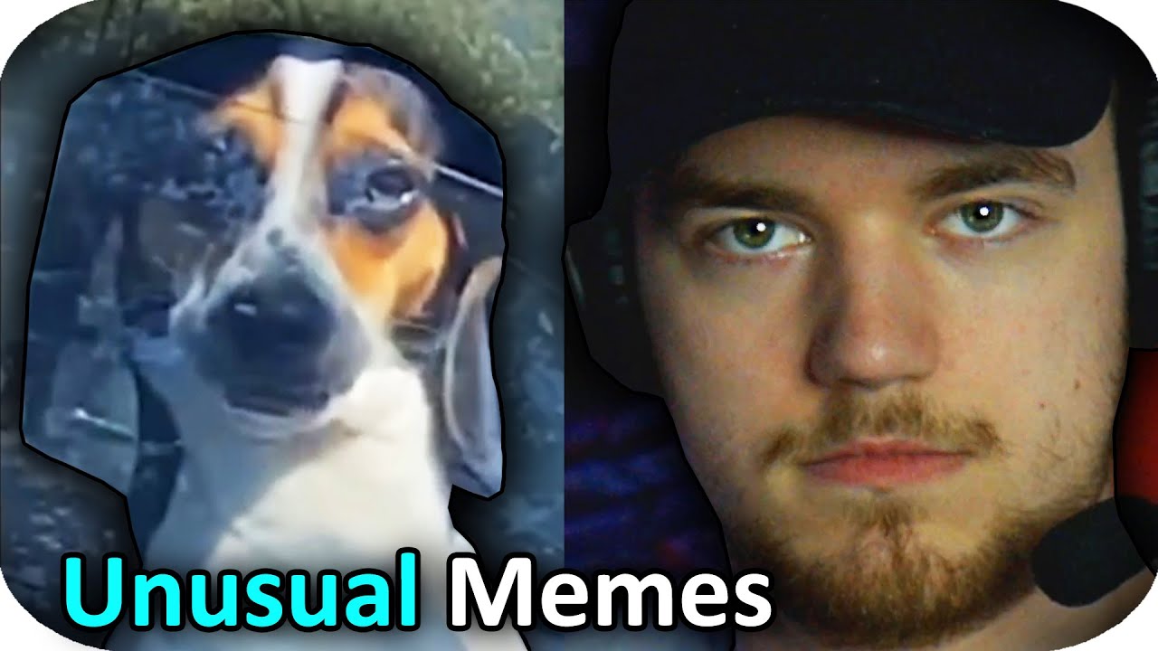 iLinnuc REACTS To Unusual Memes!! Where did ''iLinnuc' come from ...