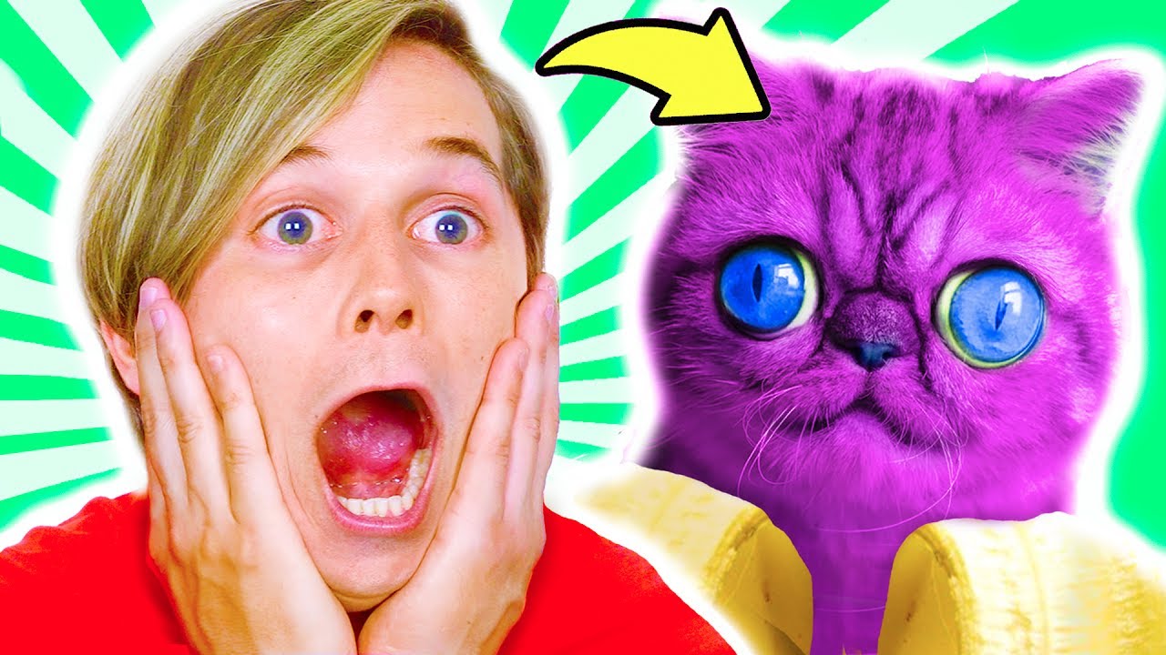 ISSO É MUITO FOFO ! Bananya série de ANIMAÇÃO de GATINHOS BANANA ...