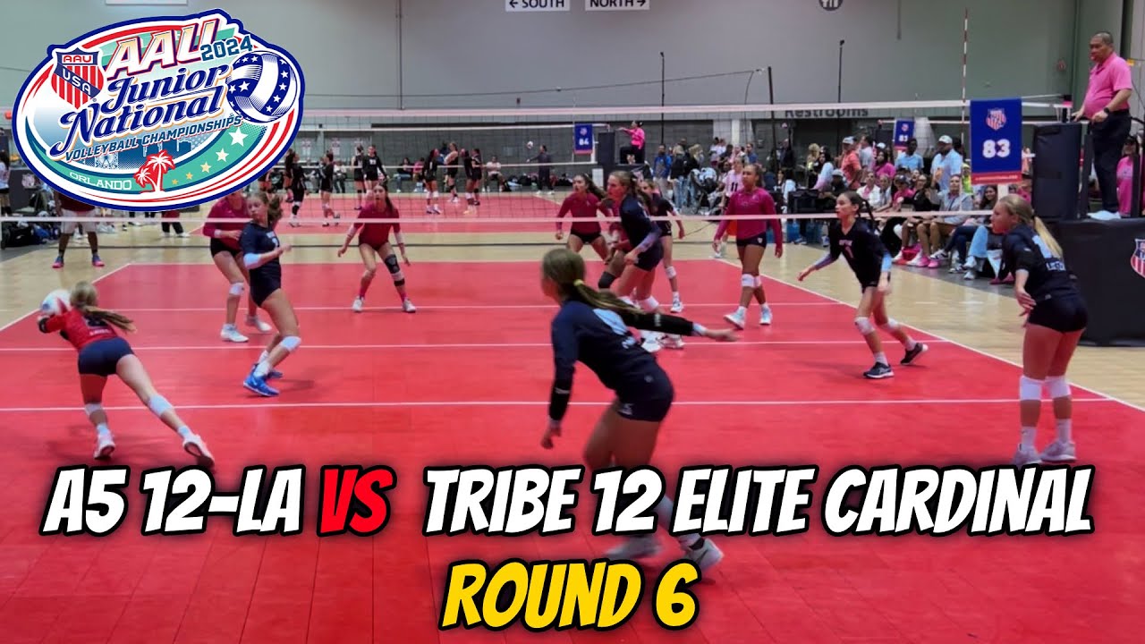 AAU Nationals 2024 - A5 12-LA vs Tribe 12 Elite Cardinal - Pool Play ...