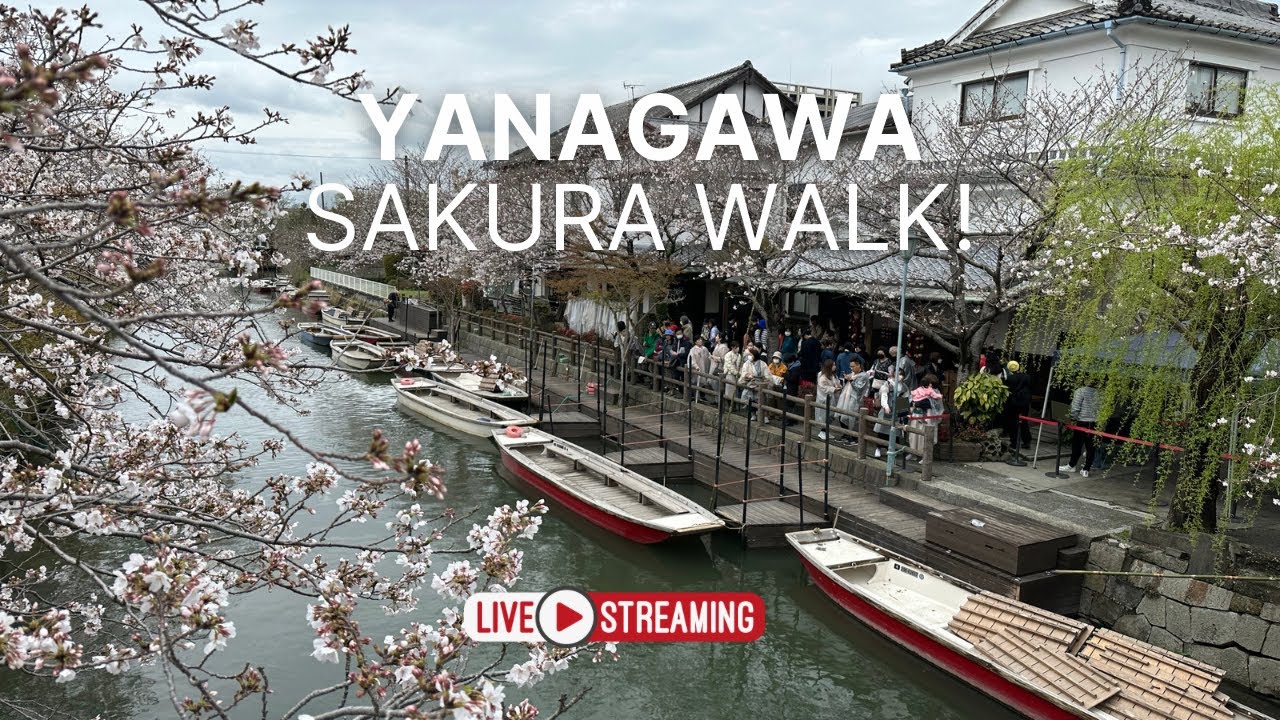 Yanagawa - Sakura Walk / 柳川- Kyushu, Japan - YouTube