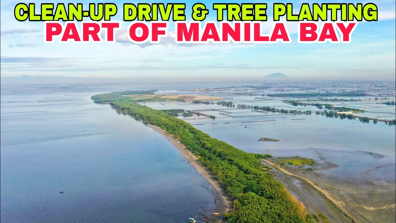 MANILA BAY CLEAN UP DRIVE & TREE PLANTING TANZA MARINE TREE PARK ...
