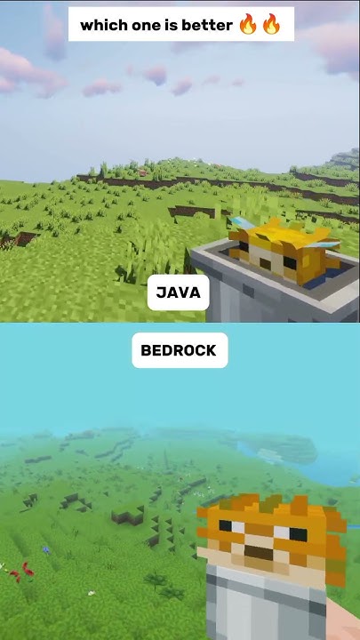 Minecraft Java vs bedrock 💀#shorts#minecraft#trenidngshort - YouTube