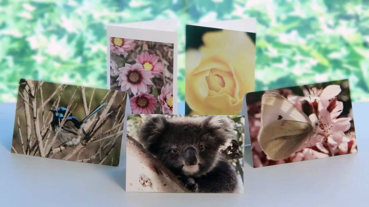 NatureScope Photography shares the beauty, diversity & fragility of ...