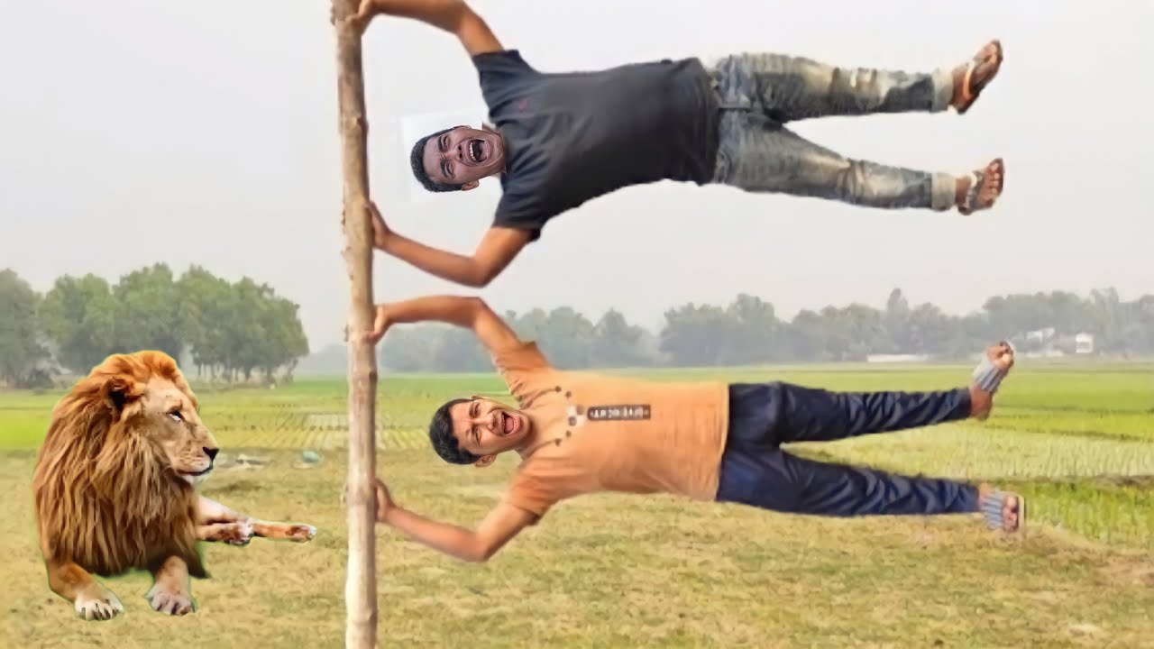 Super Comedy Video 2021 | New Funny Video 2021 Episode 28 by Catojo ...