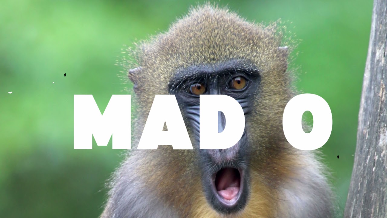 MAD O! - YouTube