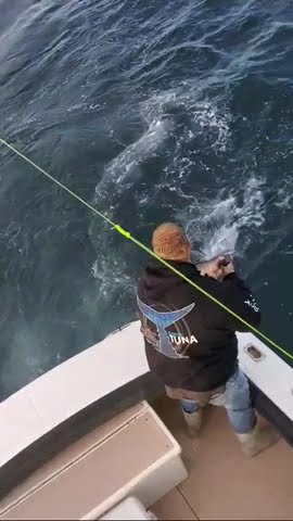 80lb bluefin tuna at 12 Fathom Lump Dec2024 - YouTube