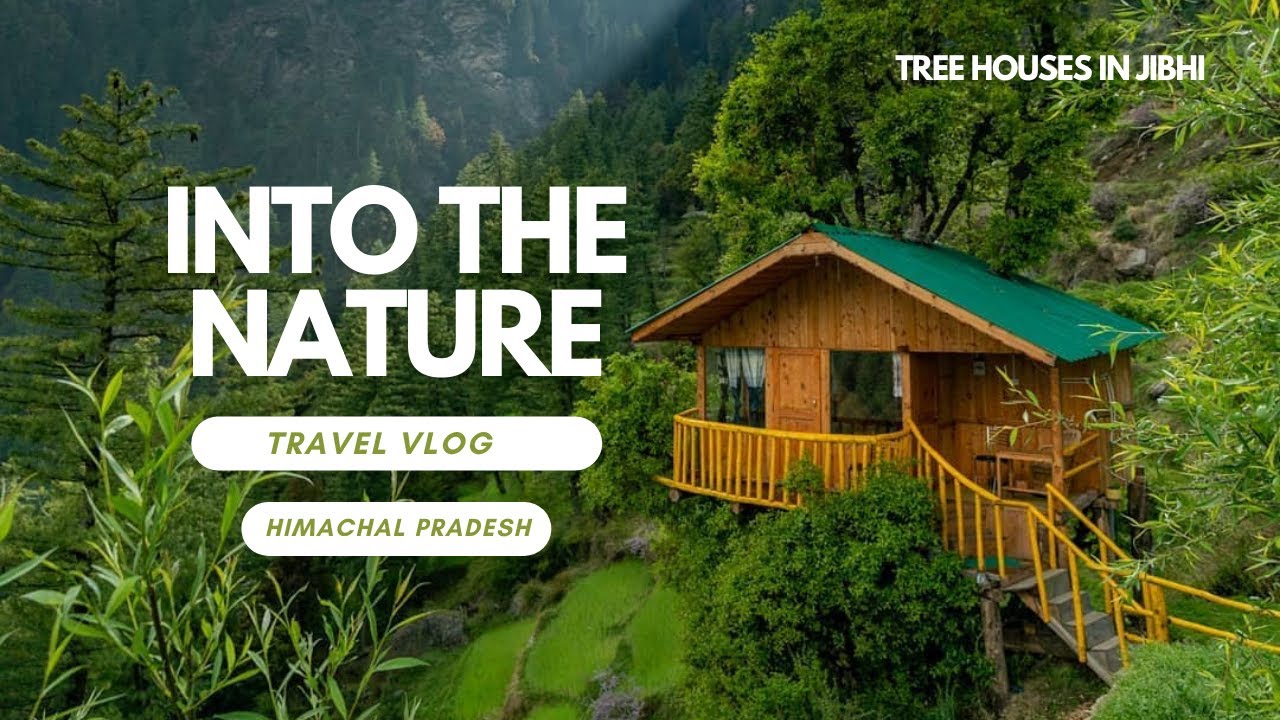 Amazing Tree house in Tandi, Jibhi / Stay in Jibhi / Unique Homestays ...