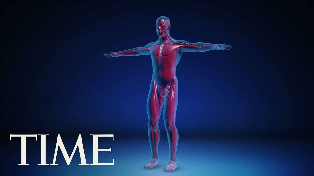 Scientists Have Discovered A New Organ In Humans: What To Know About ...