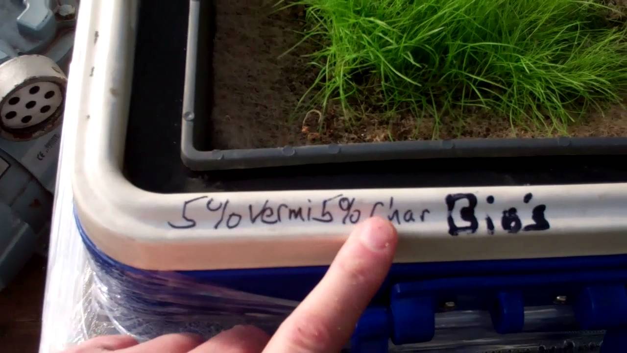 Greenhouse Study on Biochar in USGA Rootzone 1 - YouTube