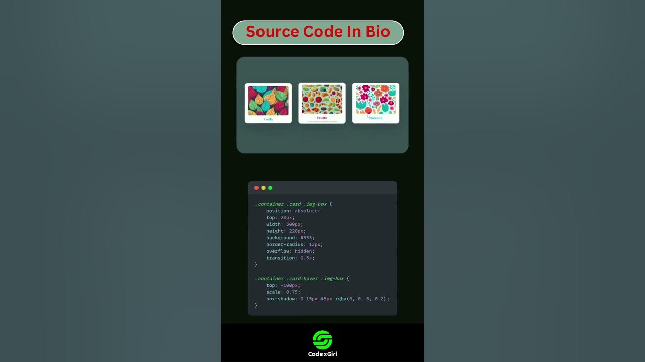 Card Image Hover👈 Shortvideo Codinglover Viral Computerscience Coding Css Html