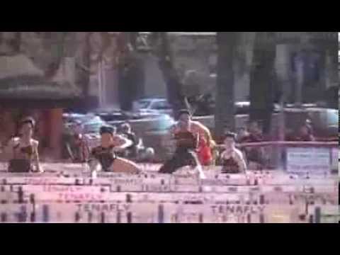 Tenafly 110M Hurdle Domination