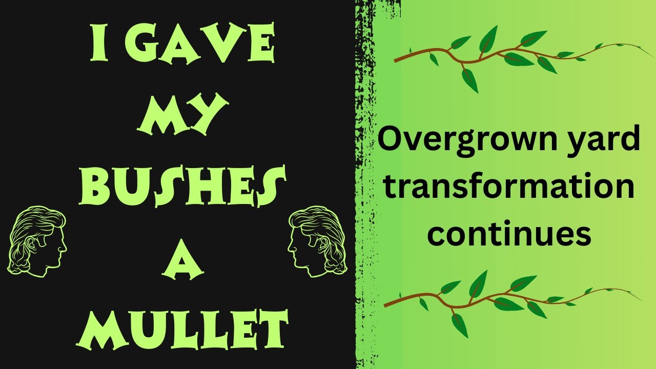 Overgrown yard transformation continues. I gave my bushes a reverse ...