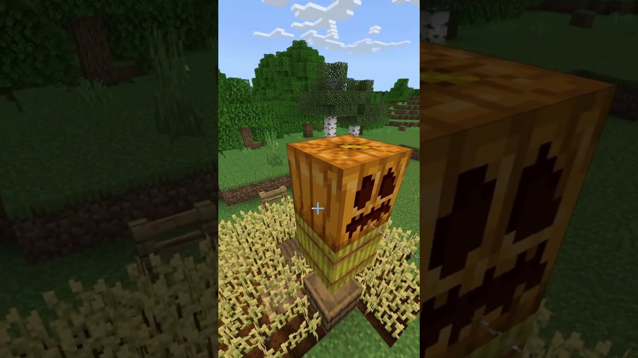 Minecraft Scarecrow Build Tutorial #shorts #minecraft #meme - YouTube
