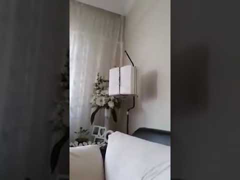 AS  89-FLURYA, CARDUELİS CHLORİS