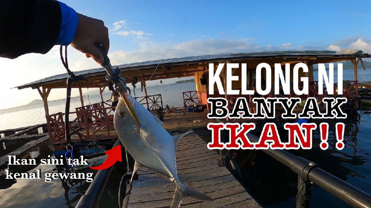 MANCING DI KELONG YANG BANYAK IKAN | POPPER DI HENTAM BERTALU-TALU ...