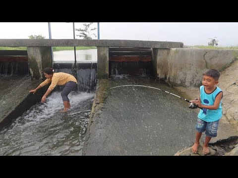 mancing ikan Berem Panon !! mamet lihat lumba \