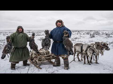 Волк, медведь, песец: секреты охоты народов Ямала и Таймыра