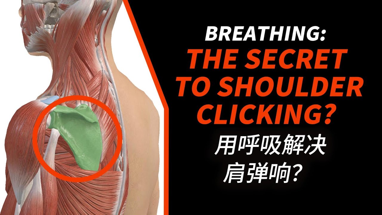 Shoulder Clicking? Fix It with Breathing! ｜肩弹响？调整呼吸搞定！ - YouTube