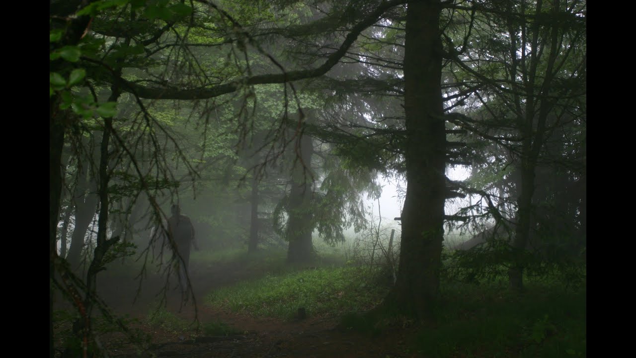 Walking The Edges Where Bigfoot Roams | Bigfoot Aesthetics 🌲🏔️ 🌊 🦧 ...