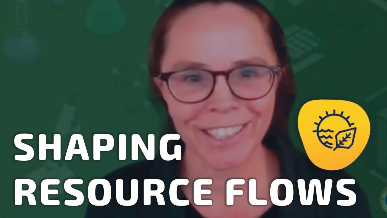 The Role of Carbon Capture in Meeting Net-Zero Carbon Goals with ...