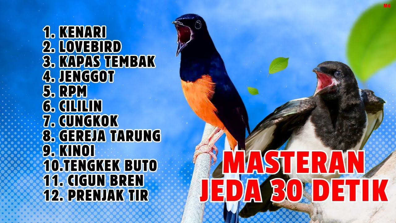 🔴 MASTERAN MURAI BATU NGEROLL TEMBAKAN KASARAN TERBAIK MUDAH DI TIRU ...