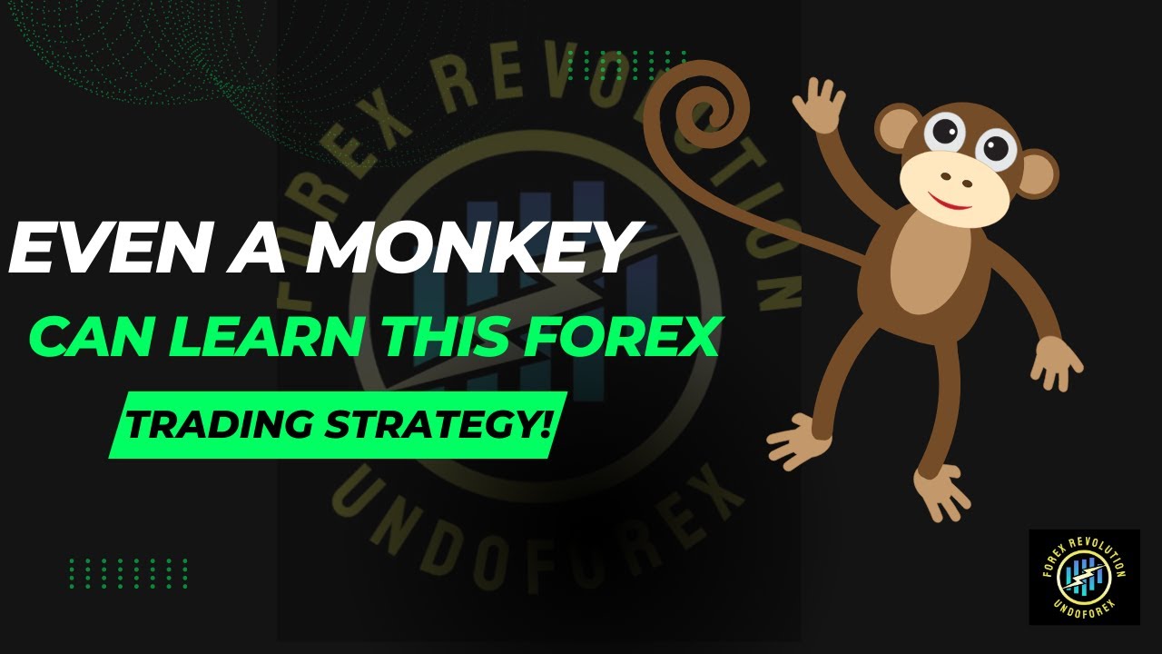 🐵🐵A Monkey Friendly Forex Trading Strategy!! SO EASY #forex # ...