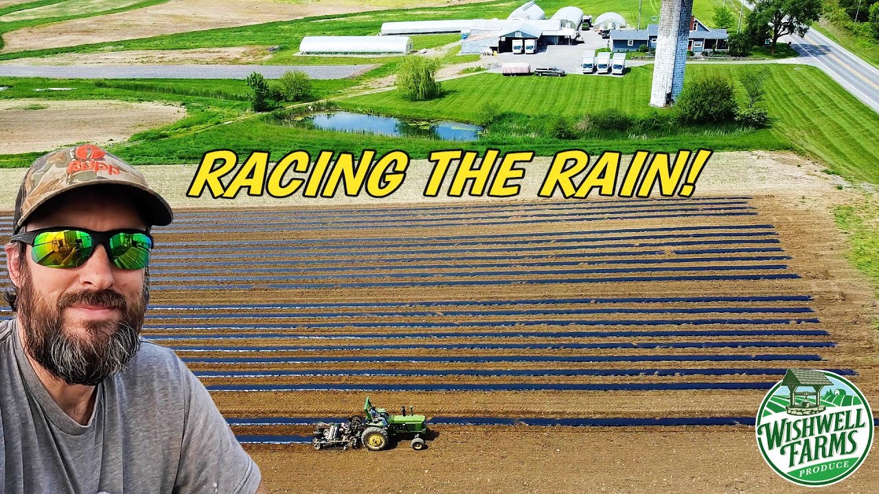 Laying Plastic Mulch & Feeding Sweet Corn Before the Storms - YouTube
