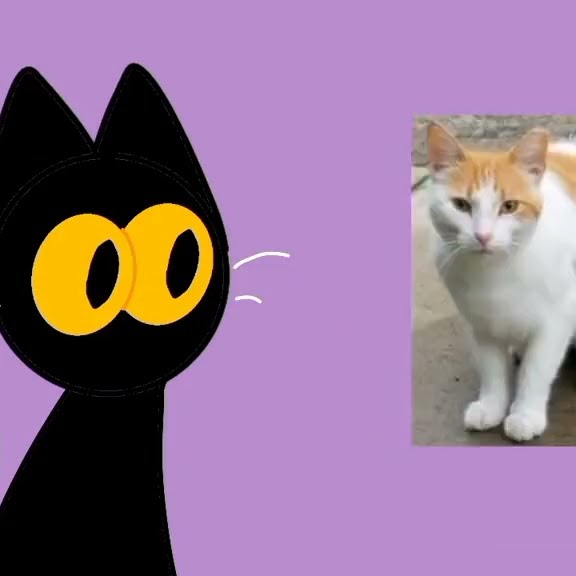 zi zai zair meow meow meow#animation #cat - YouTube