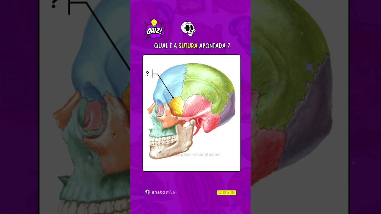 Skull Sutures Anatomy Quiz