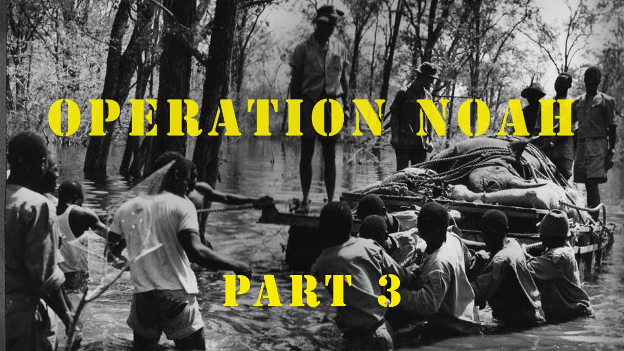 Operation Noah | part 3 - YouTube
