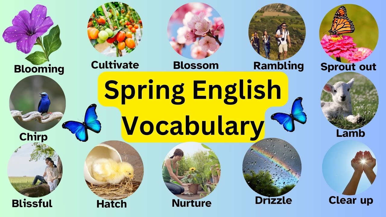 Spring Vocabulary in English 🌸 | Learn Seasonal Words, Phrases ...