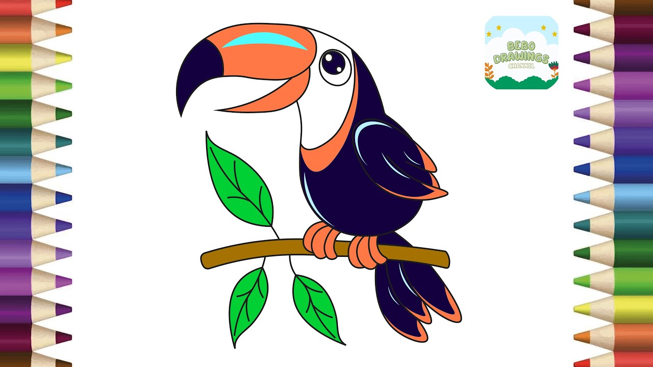 How to Draw A Cute Toucan Bird Easy Step by Step | Toucan Drawing - YouTube