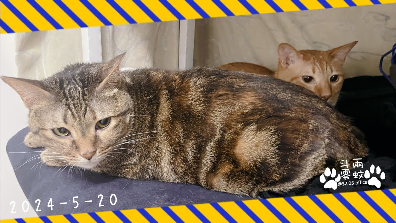 20240520 Live 520 - YouTube