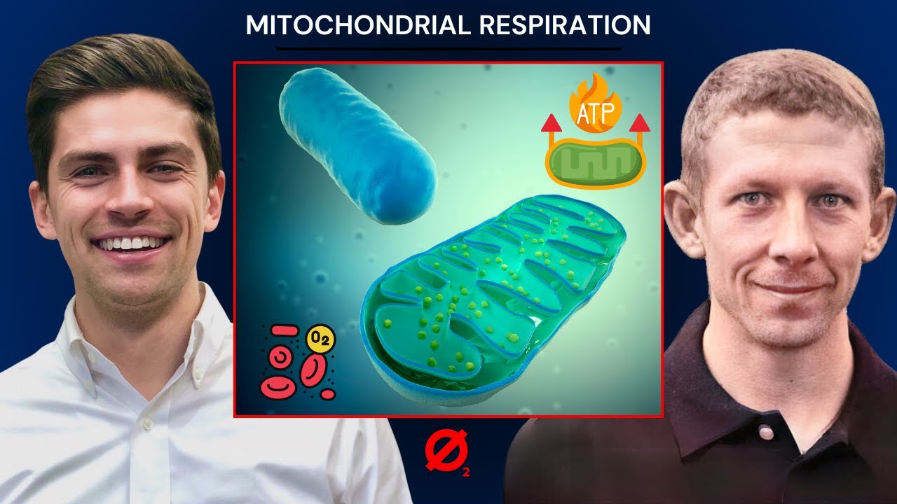 Maximize your mitochondria for better endurance performance! | 78 - Fast Phys 23 ft. Dave Schell ...