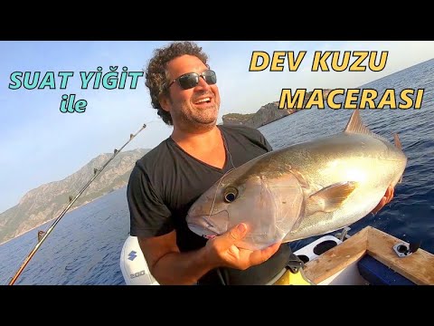 ÜÇ GÜN, DOKUZ KUZU, TOLGA ÇALIM VE BEN :)) DAHA NE OLSUN.