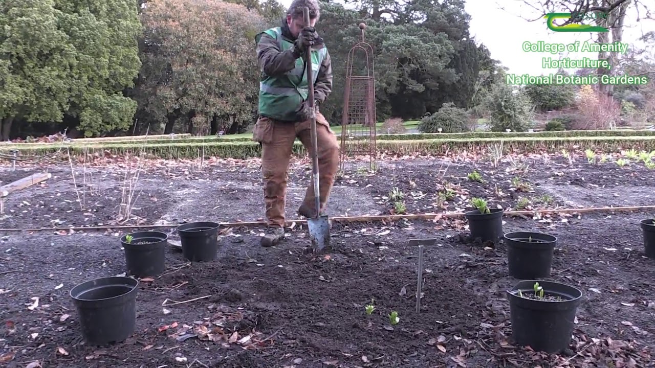 Study Horticulture with Teagasc - Episode 2 - YouTube
