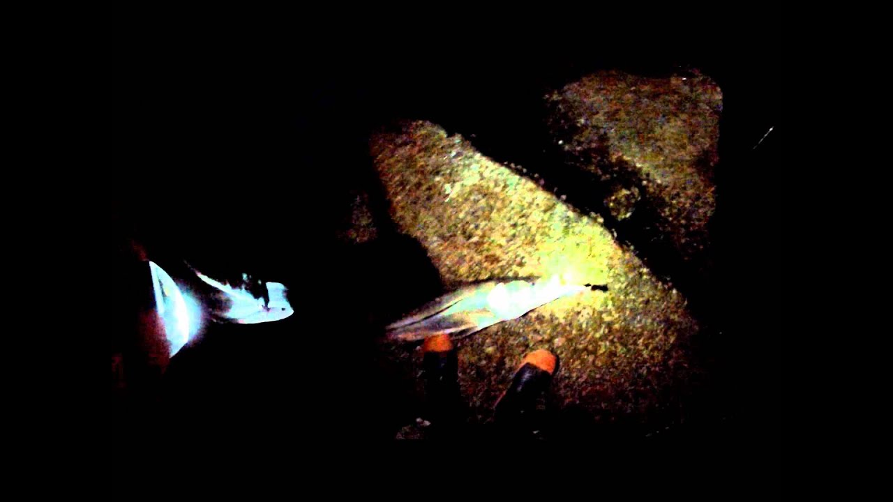 Snook fishing at Sebastian inlet at night - YouTube