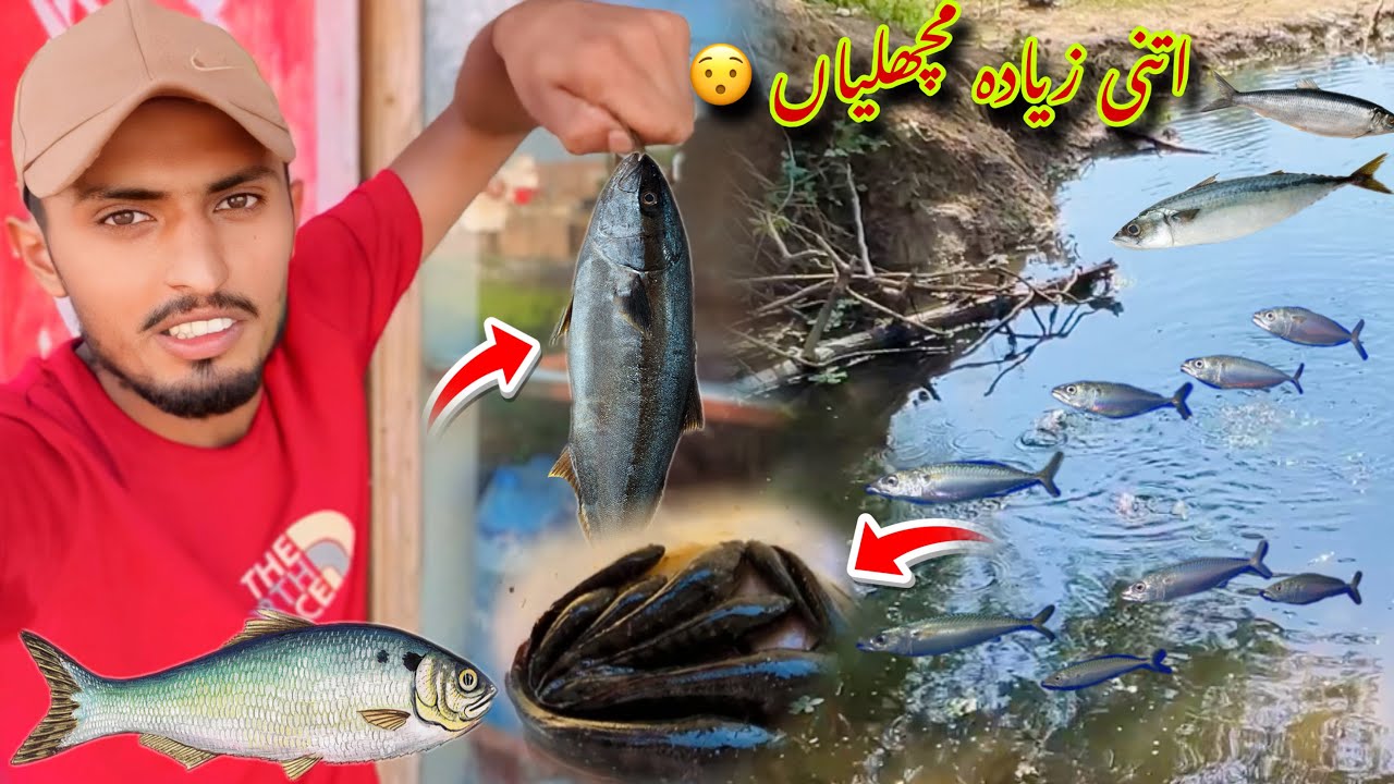 Fishing With Hook🎣 First Time Itni Bari Fishes Pakri😍 - YouTube