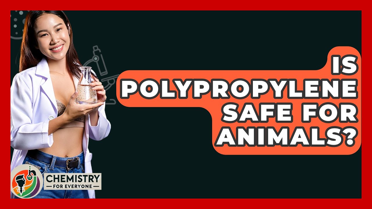 Is Polypropylene Safe For Animals? - Chemistry For Everyone - YouTube