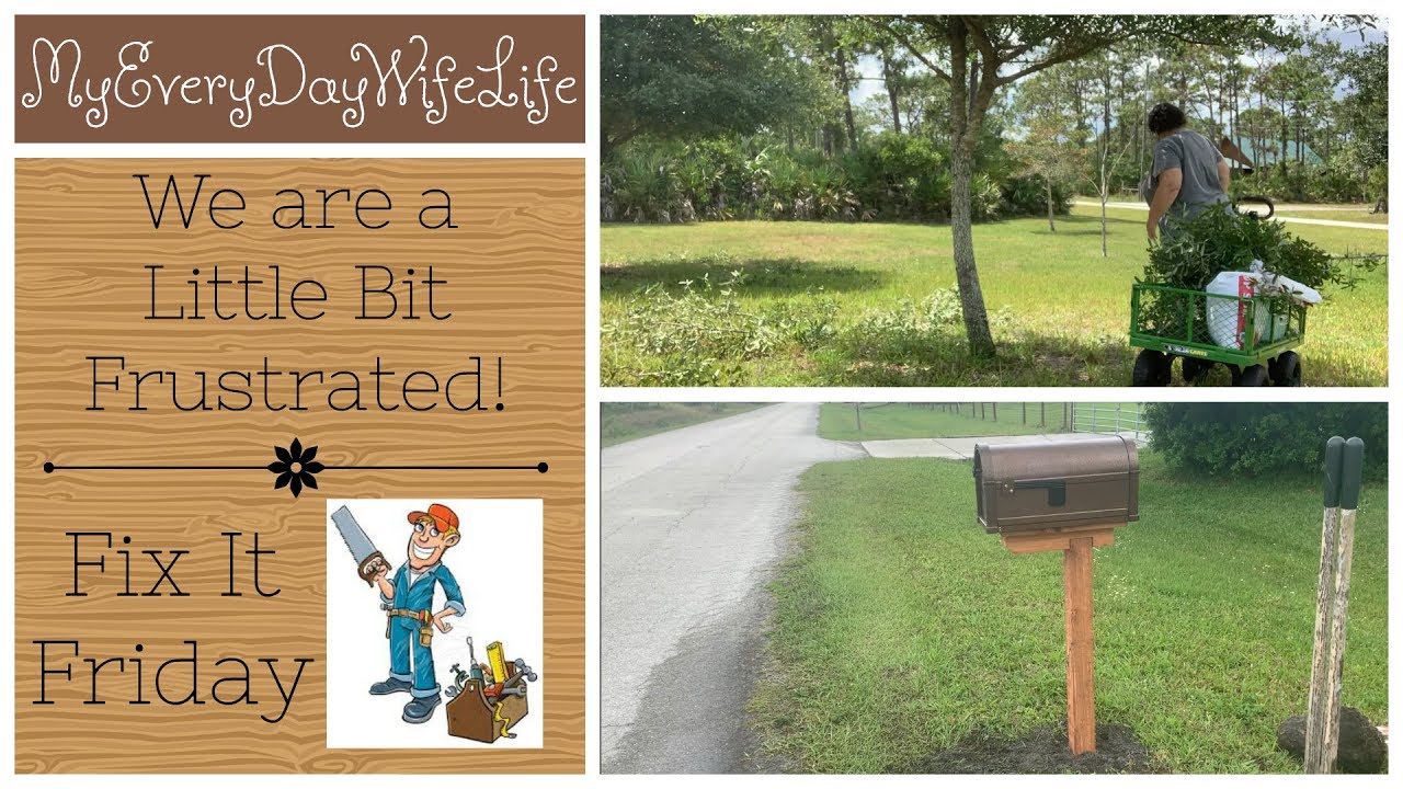 🍃We Are A Bit Frustrated! || Fix It Friday 🔨 - YouTube