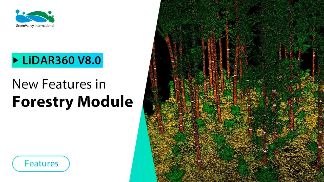 Exploring LiDAR360 v8 Forestry Module: Advanced Tool for Smarter Forest Analysis - YouTube