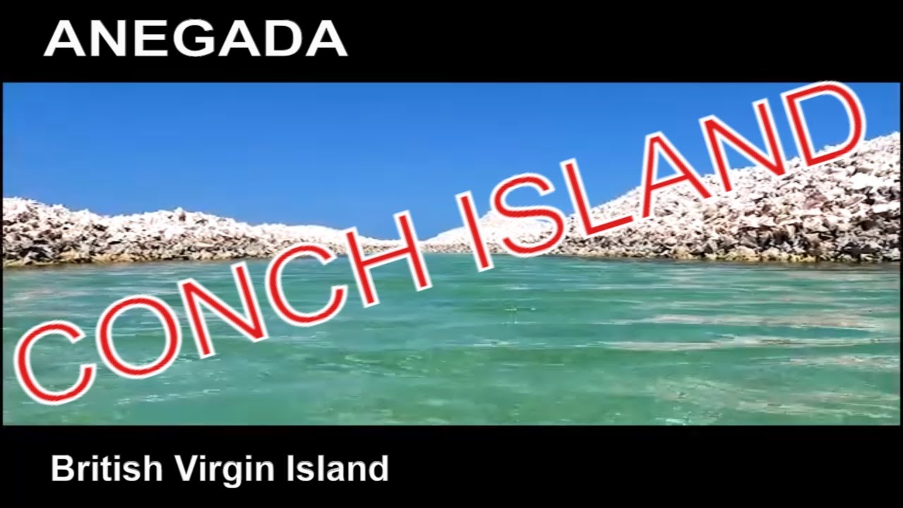 Discover Anegada: The Third Largest Coral Barrier Reef - YouTube